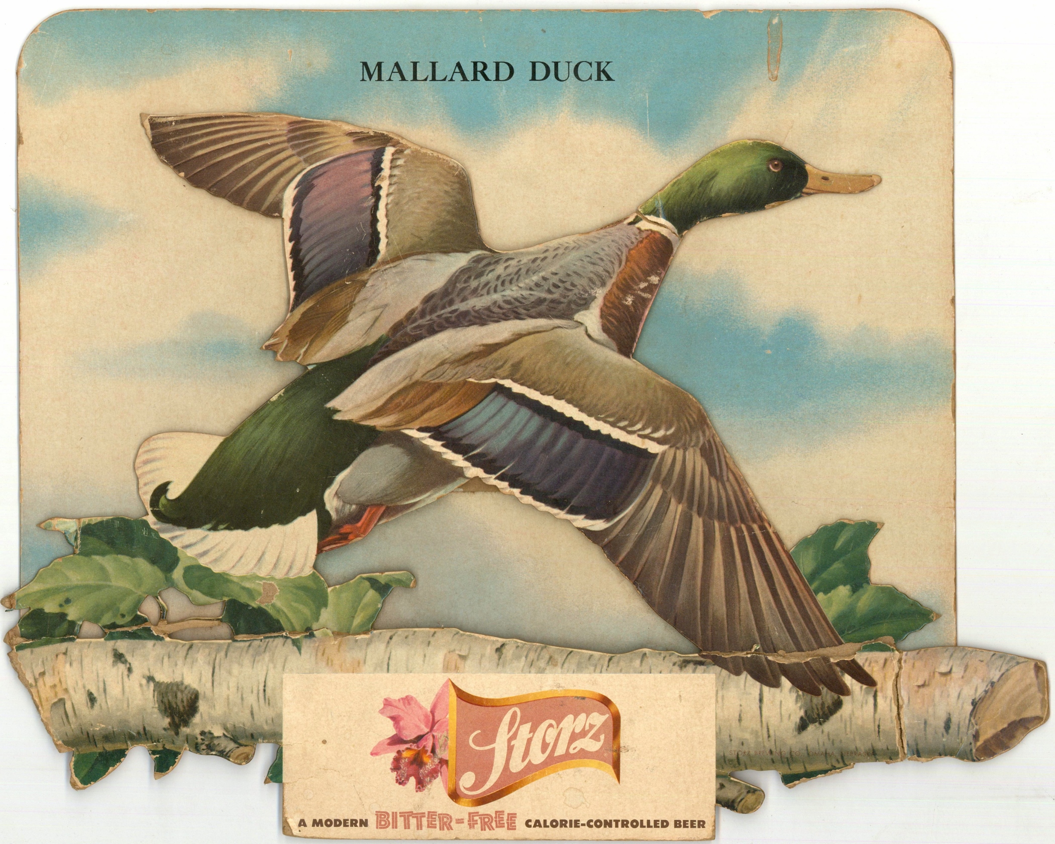 Item #95502 1958 Storz Beer Mallard Duck Cardboard Wall Sign Sign